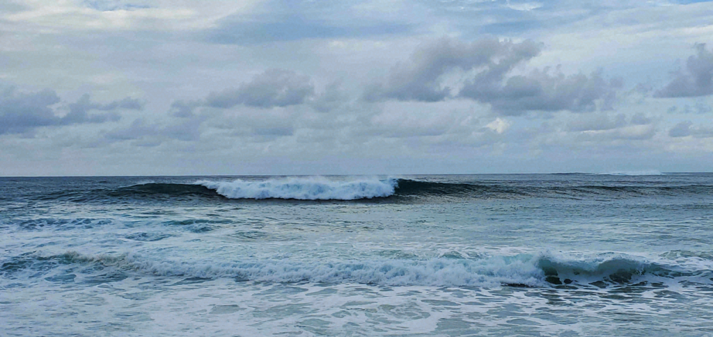 Join Us For Ocean-Float Skate-Roll Clinics! – World Team Now!